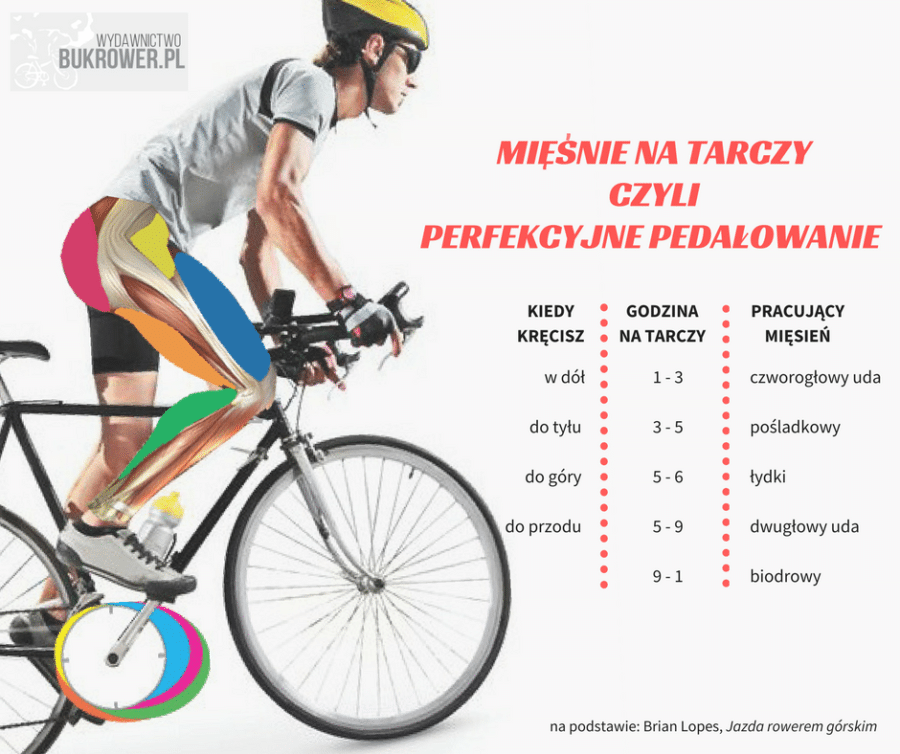 Komfort na dwóch kółkach – prawidłowa pozycja na rowerze | Wyprawy RoweLove