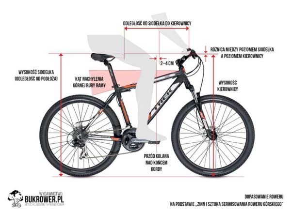 Komfort na dwóch kółkach – prawidłowa pozycja na rowerze | Wyprawy RoweLove
